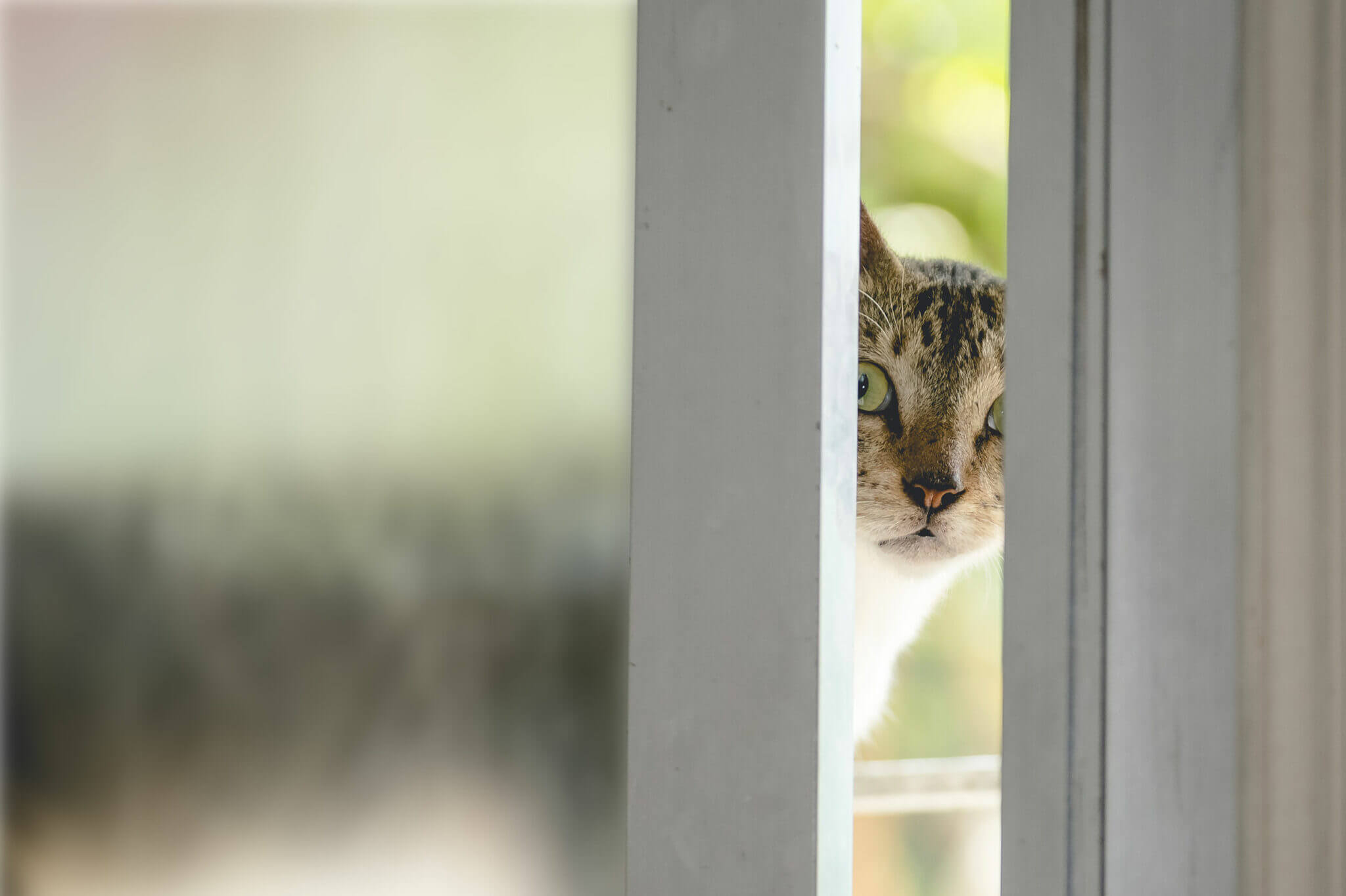 Contact Us | Windows and Doors Toronto | Window Choice